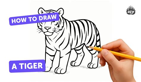 Simple Tiger Drawing Simple Tiger Sketch Rdrawing
