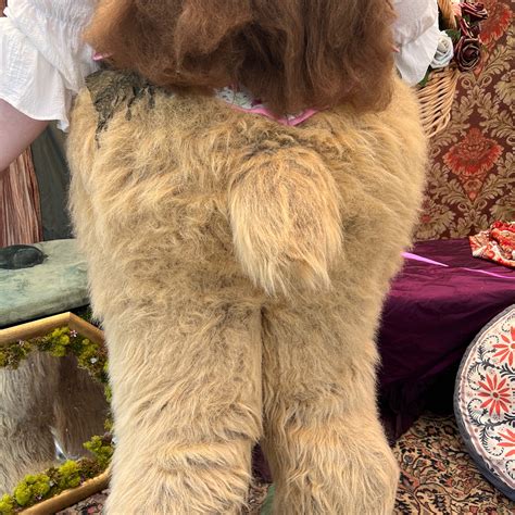 The Lyra Faun Tail Digital Pattern Etsy