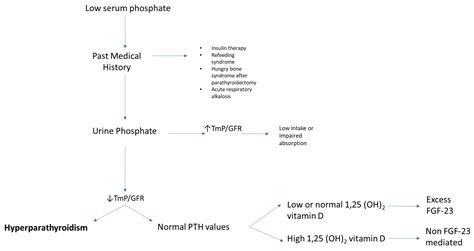 Parathyroid Hormone Phosphate