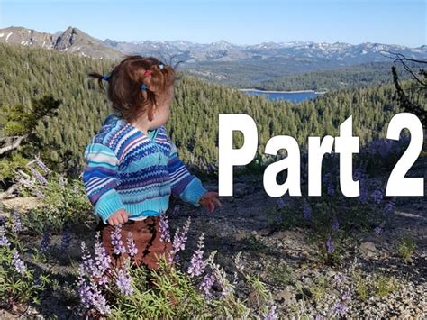 Field Assignment Pdf