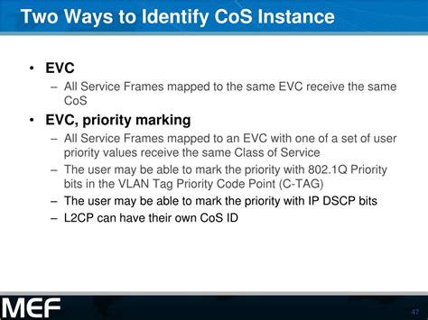 PPT Introducing The Specifications Of The MEF PowerPoint Presentation ID 3500727