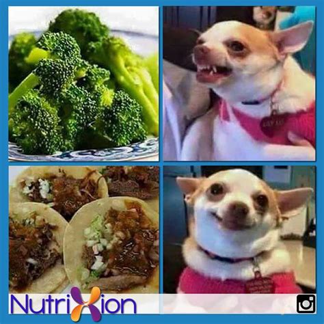 Imagenes Comida Memes