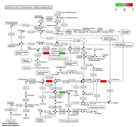 Molecular Vision Wang Mol Vis 2019 25 345 358 Appendix 7 De Genes Involvement Of The