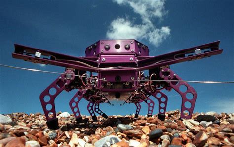 Computational Neuroscience And Ai Research In Sussex Neuroscience