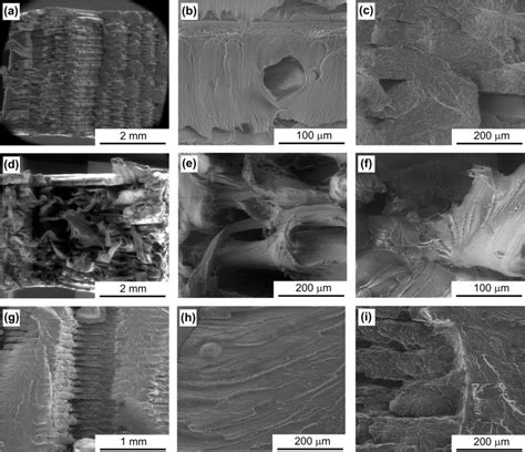 Sem Micrographs Of Tensile Fracture Surfaces Of Broken Specimens Of A C