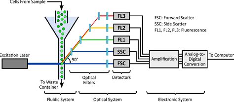 Figure 1 From Understanding The Microbial Population Of Lactococcus Lactis Subsp Strains
