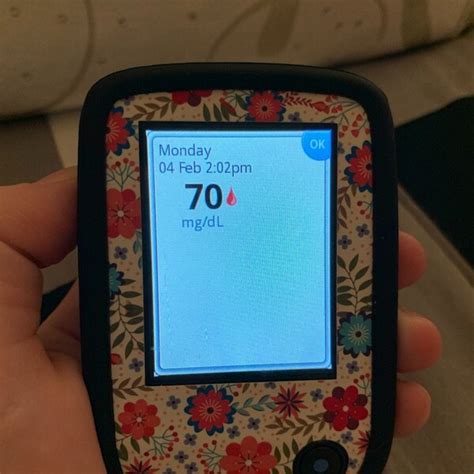 Freestyle Libre Case Etsy