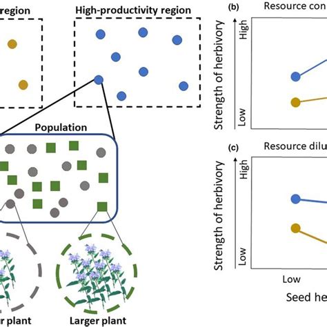 A Research Design Evaluating How Multiscale Processes Influence How