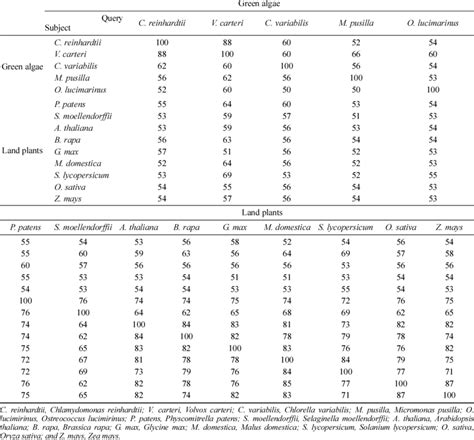 Amino Acid Sequence Similarity Between Mex1 Like Proteins Whole