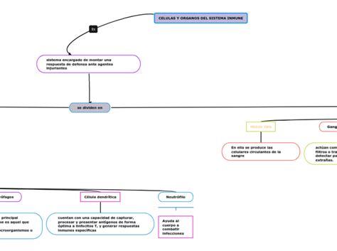 Celulas Y Organos Del Sistema Inmune Mindomo Mind Map