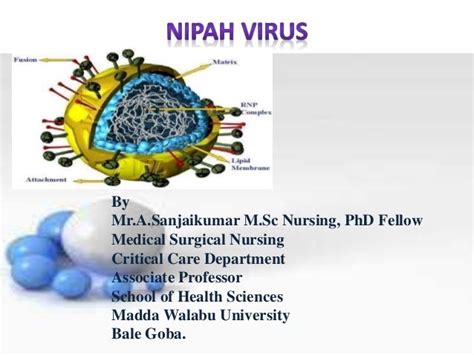 Nipah Virus Disease Condition And Awarness Ppt