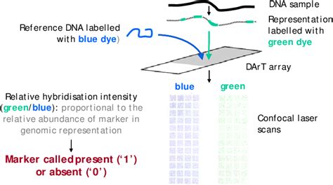 figure 1 from diversity arrays technology dart a generic high