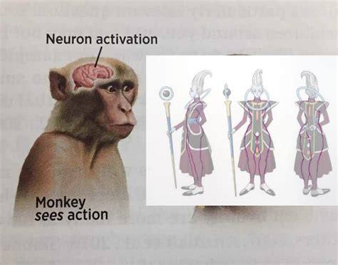 Yqhz Qr Hzd Hosted At ImgBB ImgBB