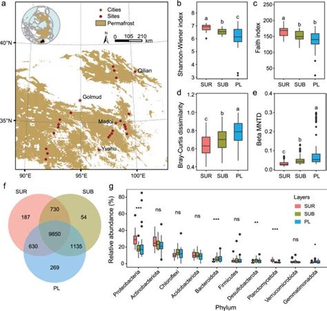 Metagenomic Insights Into Microbial Community Structure And Metabolism In Alpine Permafrost On