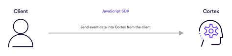 Overview Of Cortex APIs Vidora