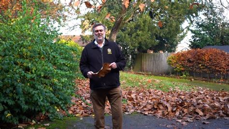 The History Of Trees At Reaseheath College Reaseheath 100