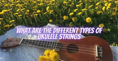 What Are The Different Types Of Ukulele Strings All For Turntables