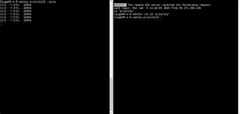 Linux基础——进程的概念和控制（操作系统级讲解）linux进程管理与控制 Csdn博客