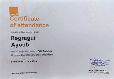 Sql Training Certification Orangedigitalcenter Rabat Dataskills