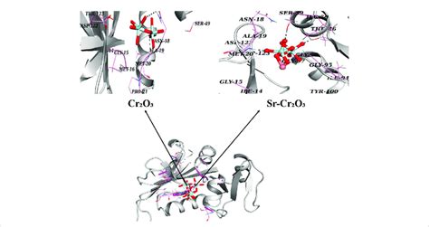 3d Graphical Representation Of Binding Interaction Patterns Of Cr 2 O 3 Download Scientific