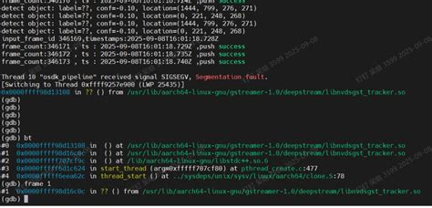 Segmentation Fault In Deepstream Application Using Seg Pgie Tracker Deepstream Sdk Nvidia