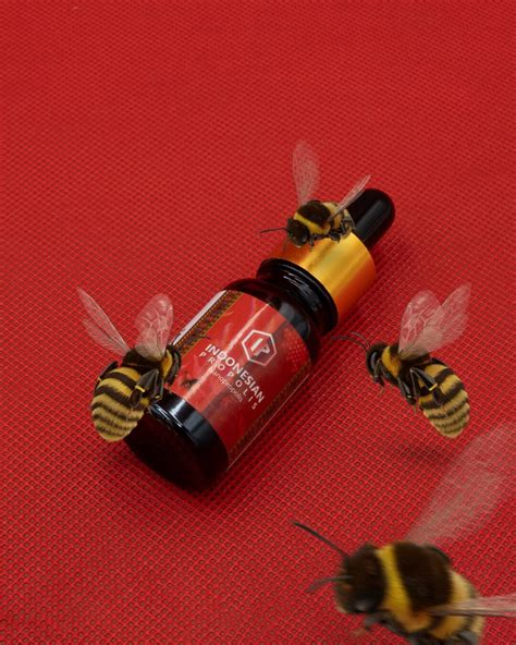 Indonesian Propolis Propolis Nano Dari Pt Berkah Amanah Selalu