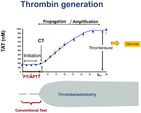 Cell Based Coagulation Process The Waterfall Cascade Hemostasis Model Download Scientific