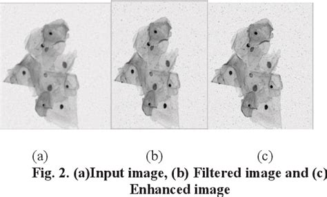Figure 1 From Automated Cell Nuclei Segmentation In Overlapping