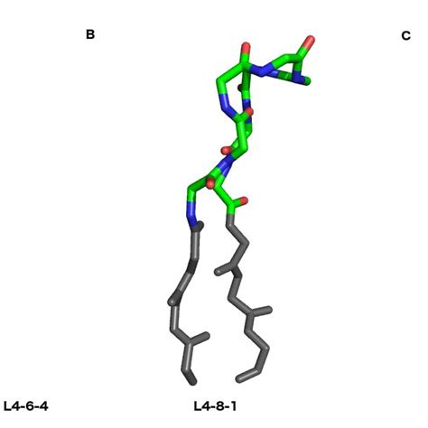 Position Of The De Loop In Antibody Structures A V Type Fold