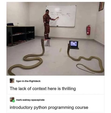 Why Does Python Live On Land Because It Is Above C Level Richard Beaudoin