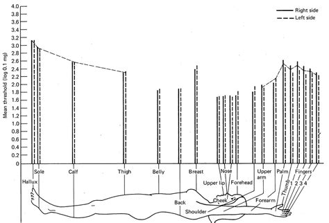 DIAGRAM Pressure Sensitivity Thresholds For Females