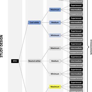 Schematic Representation Of The Data Collection Procedure For Each Download Scientific Diagram