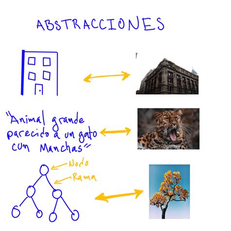 Ejemplos De Abstracción En Programación Simplifica Tu Código Con Claridad Y Eficiencia