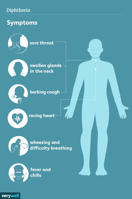 Een Overzicht Van Difterie Med Nl