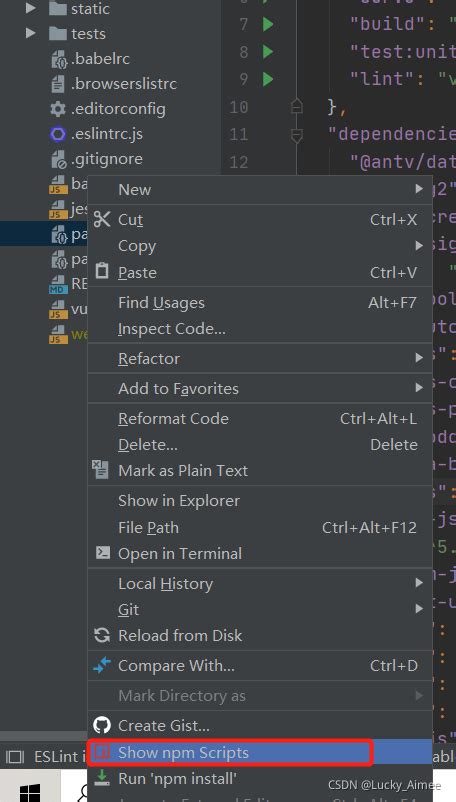 Webstorm 打开npm命令板webstorm 10 如何调出npm Csdn博客