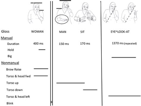 Lexical And Prosodic Analysis Of 5 Download Scientific Diagram