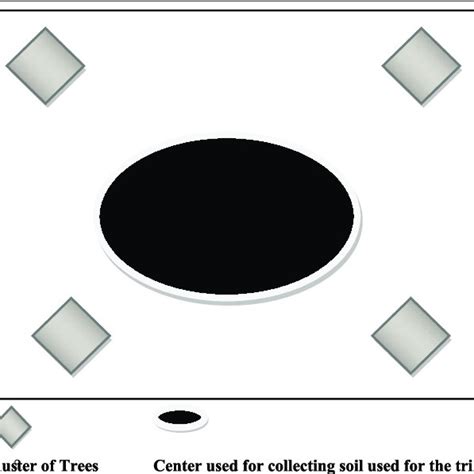 Sampling Design Of Soil Collection Download Scientific Diagram