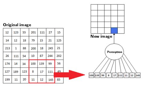 4 A Convolution Step Performed With A Perceptron Download Scientific Diagram