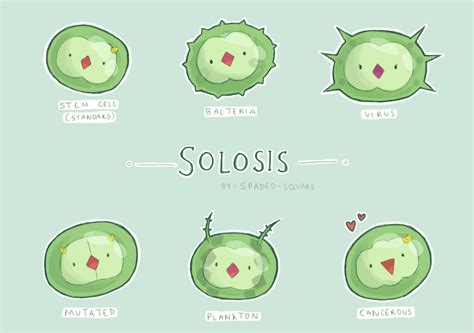 Solosis Evolution