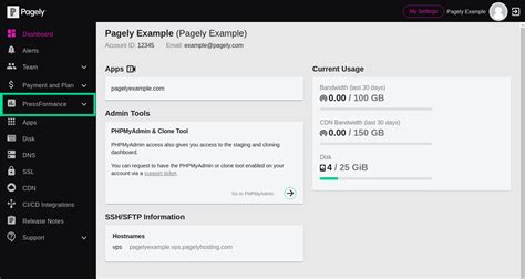 How To View Disk Usage History In Atomic Pagely® Supportops