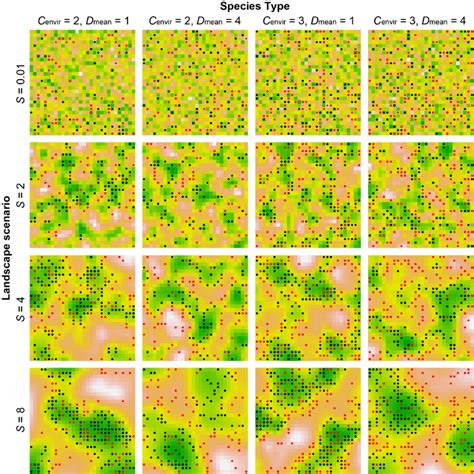 Sample Patterns Of Spatial Distribution Of Individuals Under Different