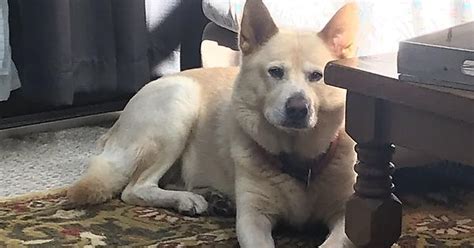 Chowder Album On Imgur