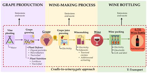 Wine Making Process At Yi Voss Blog