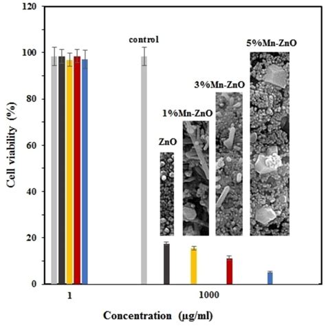 Cytotoxic Performance Of Synthesized Mn‐doped Zno Nanorods In Mcf‐7 Cells Hamidian 2023