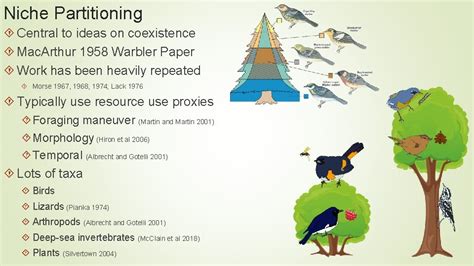 A Critical Examination Of Classical Niche Partitioning Foraging