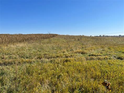Pasture To Prairie Seeding Experiment Initial Thoughts Grassland