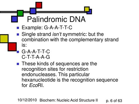 Ppt Organization Of Dna Powerpoint Presentation Free Download Id