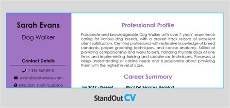 Resume Color Psychology 9 Best Colors For Your Resume