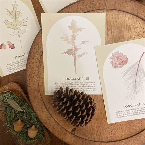 Tree Unit Study Bundle Nature Education Printable Tree Etsy