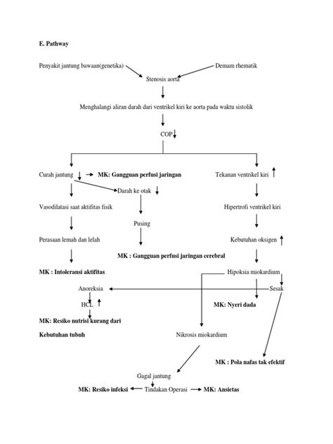 Pathway Stenosis Aorta Pdf